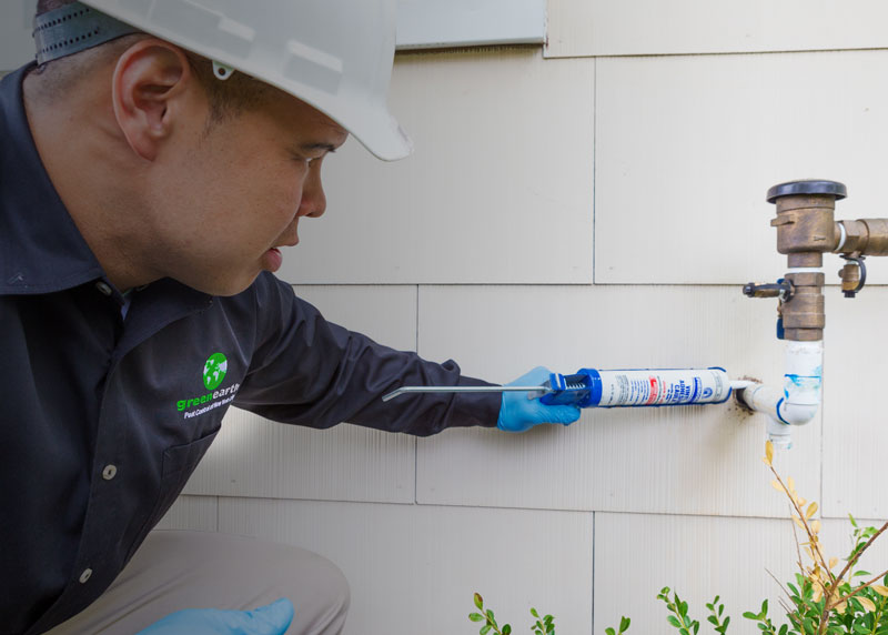 Los Angeles Rodent Control | Green Earth Pest Control